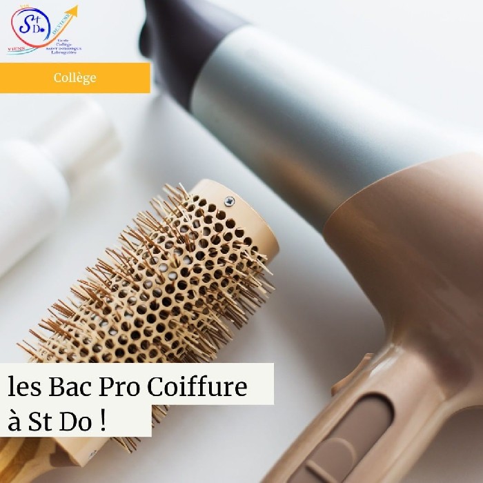 Les Bac Pro Coiffure à Saint Do :: Ensemble Scolaire Saint Dominique Labruguière