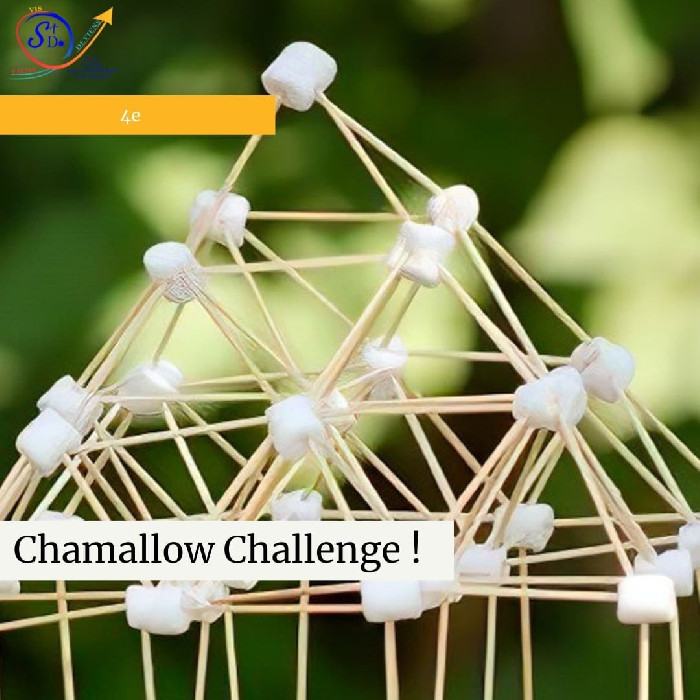 Chamallow challenge :: Ensemble Scolaire Saint Dominique Labruguière
