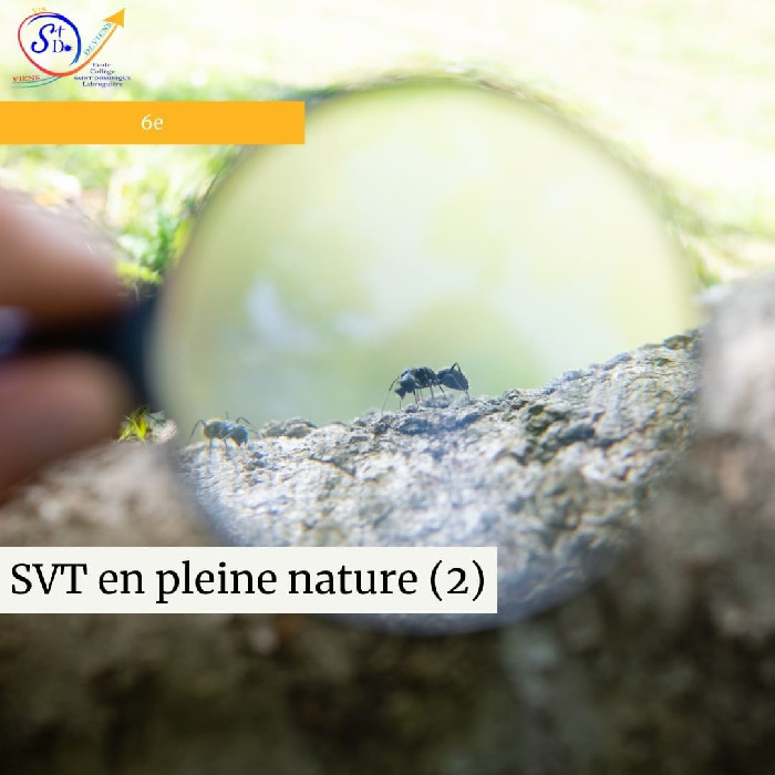 SVT en pleine nature (2) :: Ensemble Scolaire Saint Dominique Labruguière