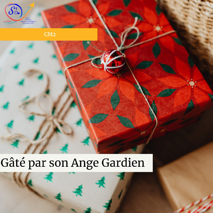 Gâté par son Ange Gardien :: Ensemble Scolaire Saint Dominique Labruguière